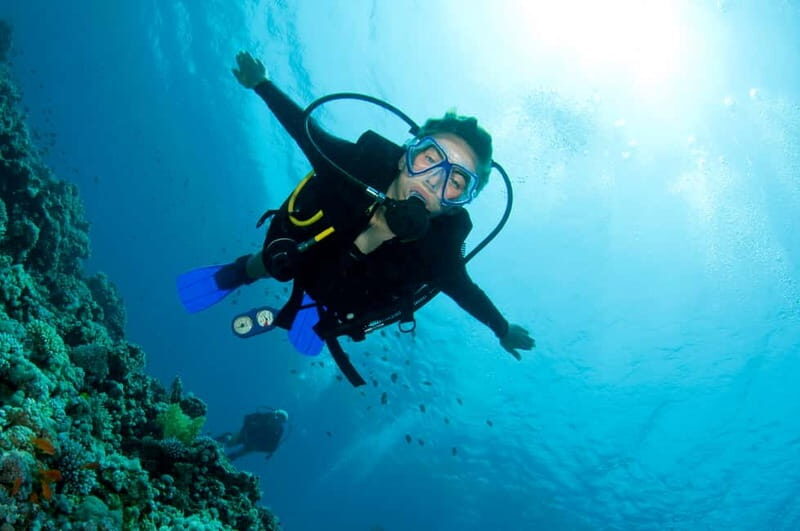 Kos: Try Scuba Diving with a diving boat - Authentic Feedback from Participants