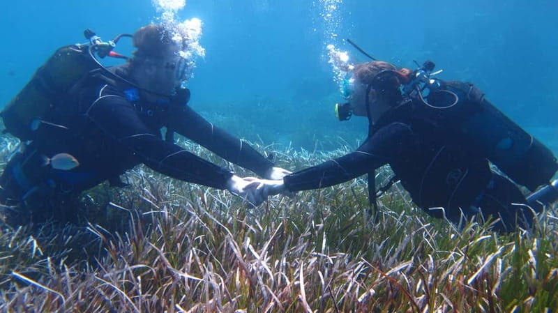 Kos: Try Scuba Diving with a diving boat - The Sum Up: Is It Worth It?