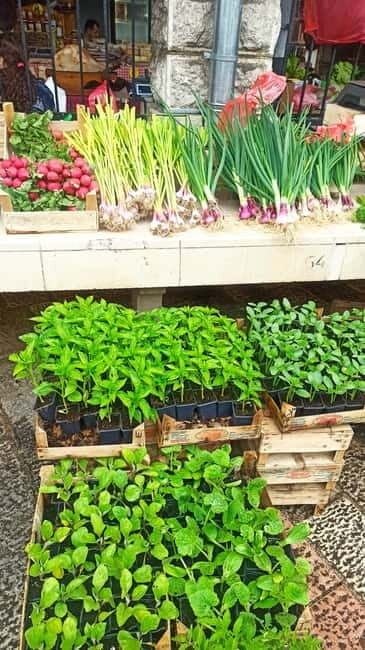 Kotor: 3H Food Tour - Key Points