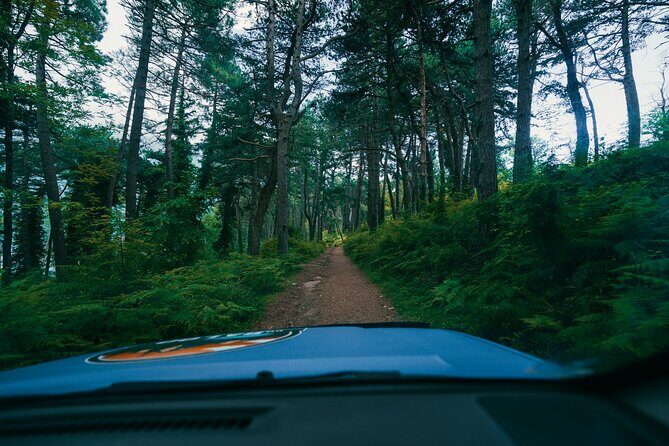 Kotor & Tivat Jeep Tour: Fortress Trails & Local Picnic - The Itinerary in Detail