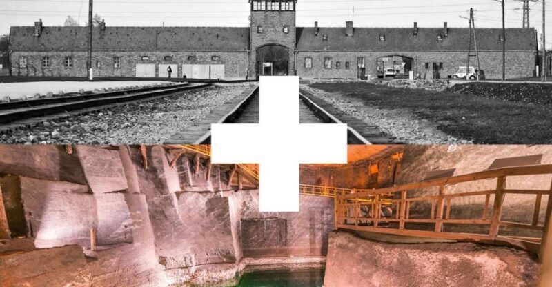 Krakow: Auschwitz-Birkenau and Salt Mine Guided Tour - Who Should Consider This Tour?