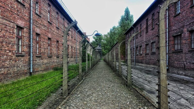 Krakow: Auschwitz-Birkenau Guided Tour with Hotel Transfer - Key Points