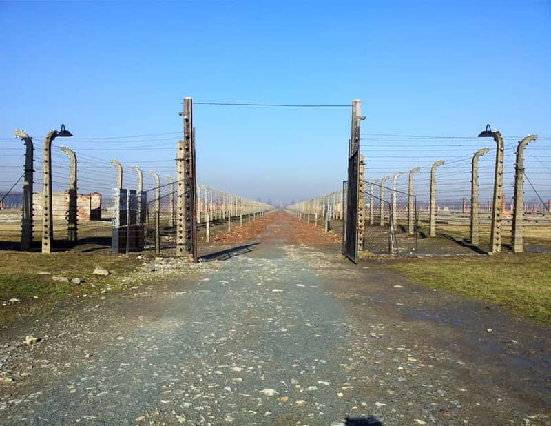 Krakow: Auschwitz-Birkenau Memorial Tour with Optional Lunch - Who Is This Tour Best For?