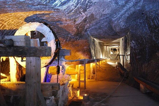 Krakow: Auschwitz-Birkenau & Salt Mine -private/shared transport - Key Points