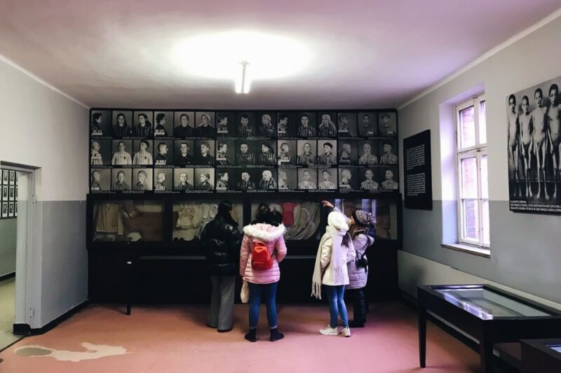 Krakow: Auschwitz-Birkenau Tour Limited to 15 Visitors - Key Points