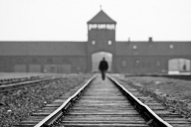 Krakow: Auschwitz-Birkenau Tour & Museum Expert Guide - Key Points