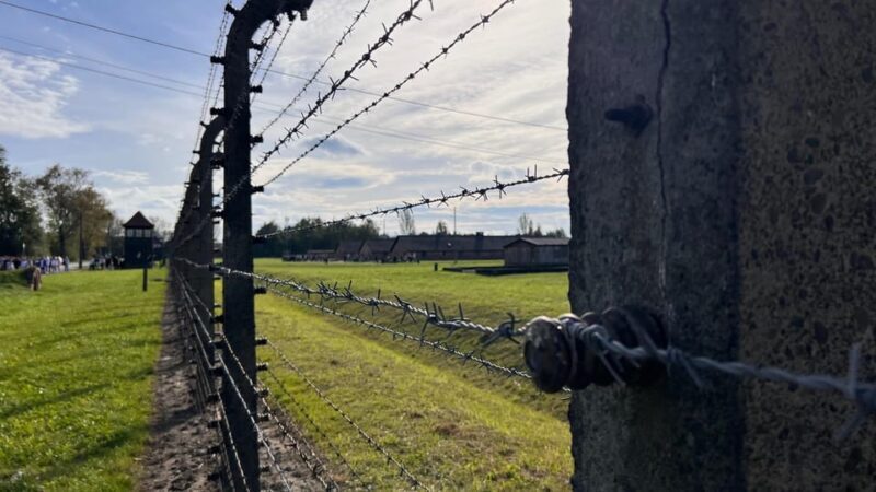 Krakow: Auschwitz-Birkenau & Wieliczka Salt Mine with Lunch - Who Is This Tour Best For?