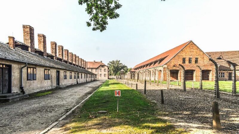 Krakow: Full-Day Auschwitz-Birkenau & Salt Mine Guided Tour - Who Should Consider This Tour?