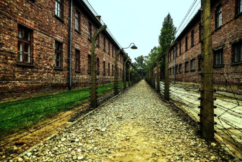 Krakow: Guided Auschwitz-Birkenau Tour - Minivan Transport - Key Points