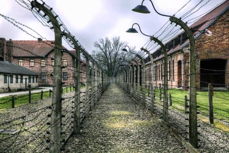 Krakow: Guided Auschwitz-Birkenau Tour - Minivan Transport - Potential Considerations