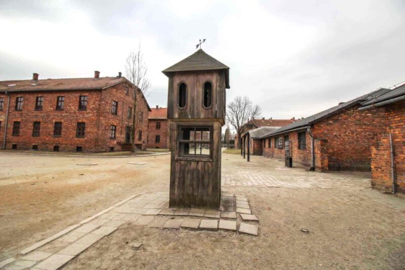Krakow: Guided Auschwitz-Birkenau Tour - Minivan Transport - Who Is This Tour Best For?