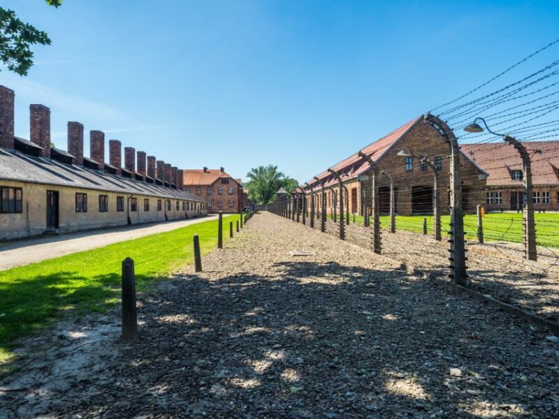 Krakow: Guided Auschwitz Birkenau Tour - Practical Tips for the Tour