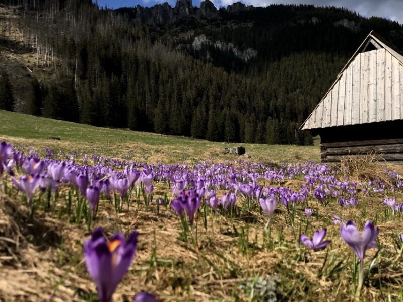 Krakow: Hiking Adventure in Tatra Mountains & Thermal Baths - FAQ