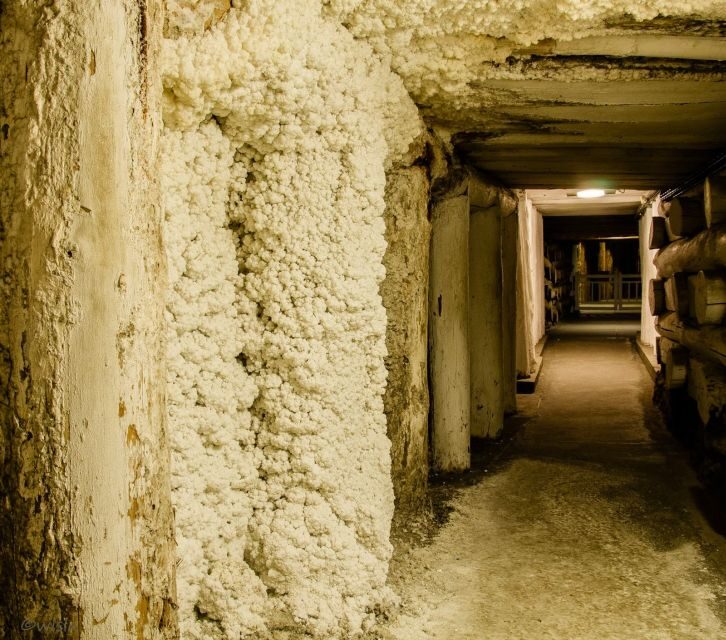 Krakow: Wieliczka Salt Mine Skip-the-Line Live Guided Tour - Final Thoughts