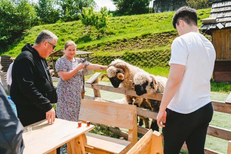 Krakow: Zakopane, Gubaówka, and Thermal Baths Day Trip - The Authenticity and Value of the Experience