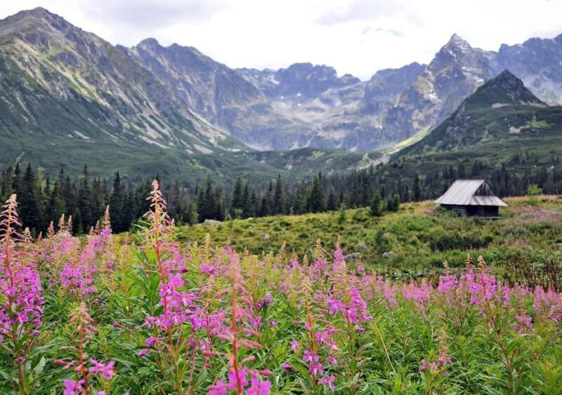 Krakow: Zakopane, Morskie Oko, and Cheese Tasting Tour - Final Thoughts