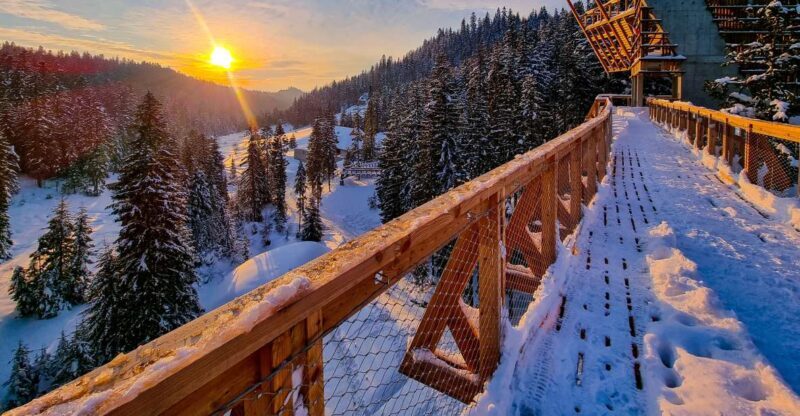 Krakow: Zakopane, Mountains Treetop Walk & Thermal Baths - What You Can Expect from This Tour