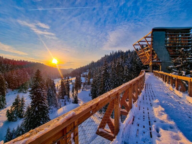 Krakow: Zakopane, Mountains Treetop Walk & Thermal Baths - Who Will Love This Tour?