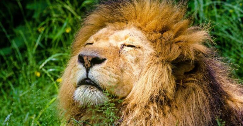 Krakow: Zoo Visit with Hotel Pickup & Drop-Off - A Deep Dive into the Experience