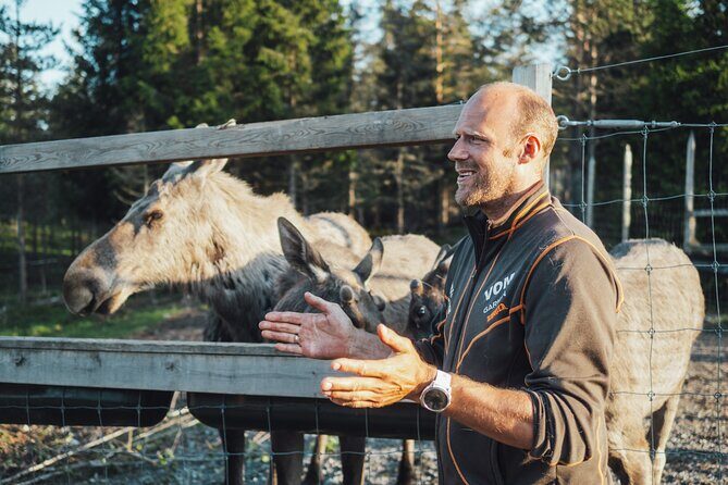 Kristiansand Guided Bus Tour and Moose Park Experience - The Itinerary in Detail