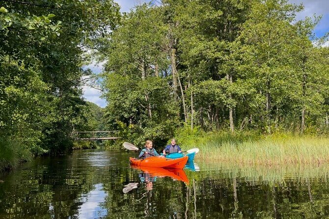 Kristiansand: Kayaking River Tour Adventure - Introduction: What to Expect from the Kristiansand Kayaking Tour