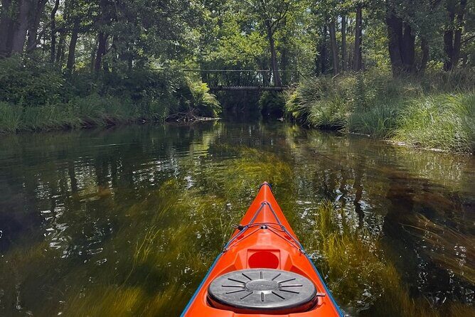 Kristiansand: Kayaking River Tour Adventure - Final Thoughts: Who Should Book This Tour?