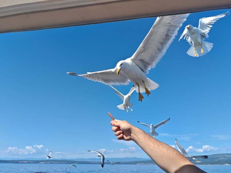 Krk: Golden Beach and Blue Cave Cruise with Welcome Drink - FAQ