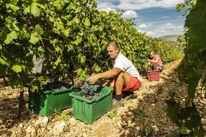 Krka Waterfalls & Dalmatian delights from Split or Trogir - FAQ