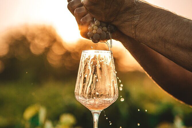 Krka Waterfalls & Wine and Cheese Tasting Tour from Split - Who Will Love This Tour?