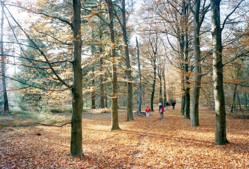 Kröller-Müller Museum Entrance Ticket - The Practicalities: How to Plan Your Visit