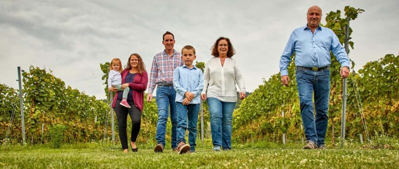 Kröv/Gut Hermes: Wine tour & tasting through vineyard, winery & champagne factory - Tasting: Savoring the Fruits of Labor