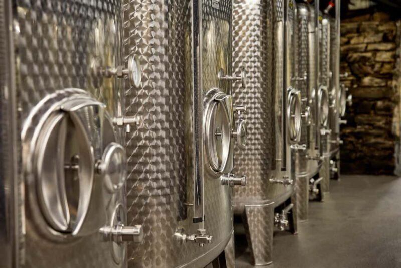 Kröv/Gut Hermes: Wine tour & tasting through vineyard, winery & champagne factory - Authentic Experiences and Guest Insights