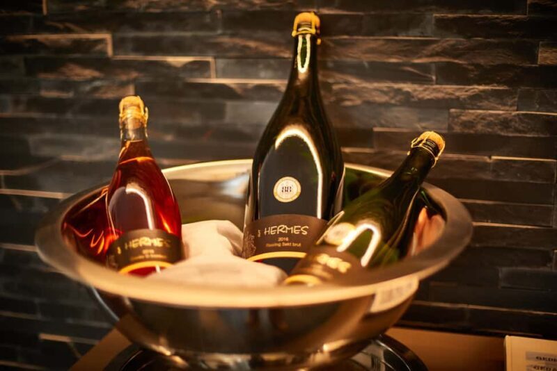 Kröv/Gut Hermes: Wine tour & tasting through vineyard, winery & champagne factory - Who Will Love This Tour?