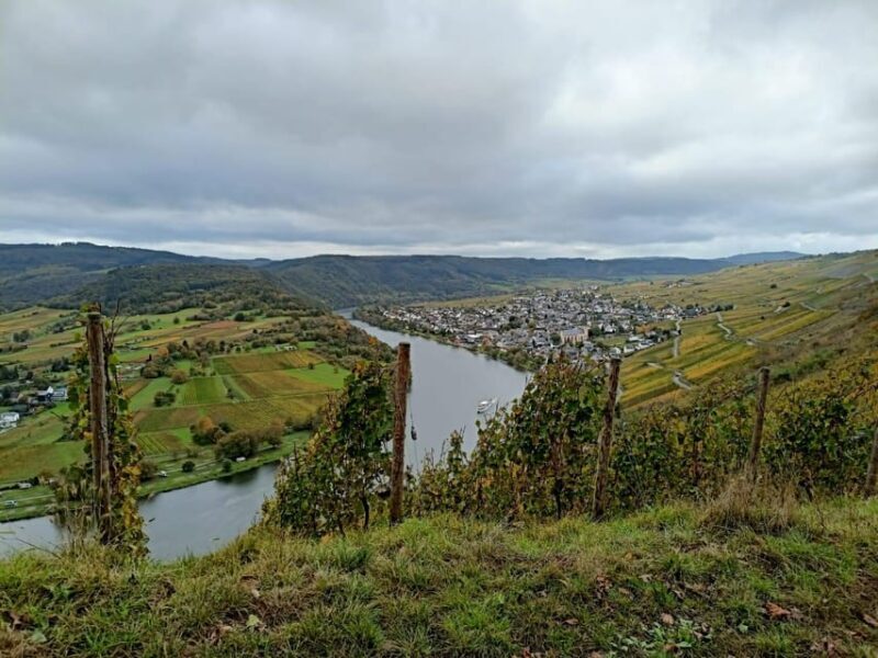 Kröv, Mosel: Covered wagon ride through the vineyards with wine tasting - An In-Depth Look at the Kröv Covered Wagon Tour