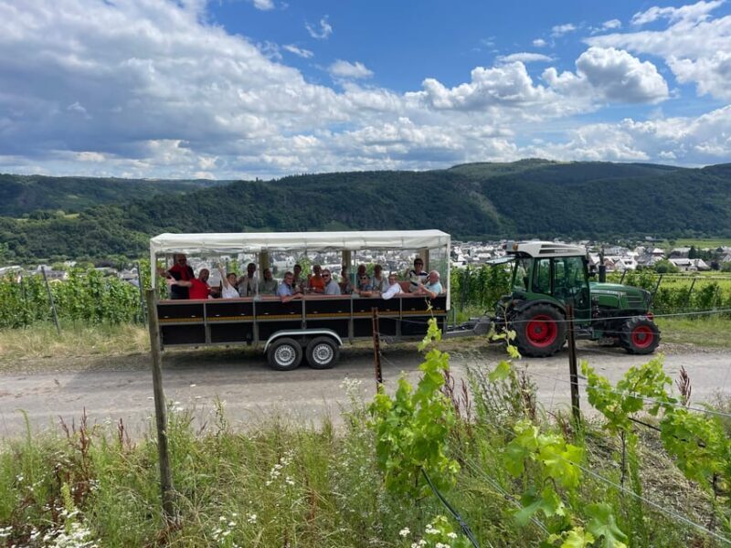 Kröv, Mosel: Covered wagon ride through the vineyards with wine tasting - Final Thoughts: Is This the Experience for You?