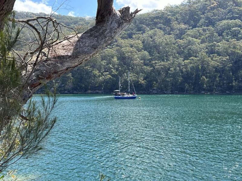 Ku-ring-gai National Park: Private Boat Tour - Final Thoughts: Who is This Tour Perfect For?