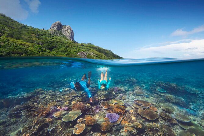 Kuata Island Marine Conservation Experience with Lunch - A Deep Dive into the Experience