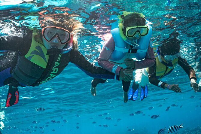 Kuata Island Marine Conservation Experience with Lunch - The Sum Up