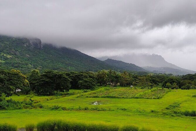 Kula Eco Park Admission - The Sum Up