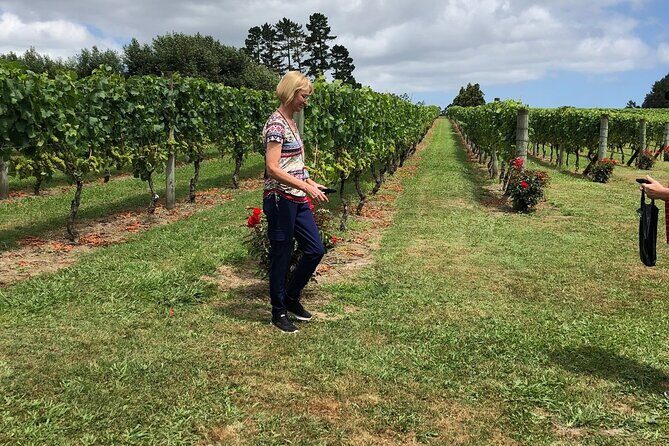 Kumeu Wine Tour - An Authentic Day in Auckland’s Kumeu Wine Region