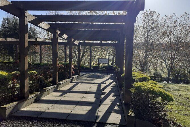 Kumeu Winery Boutique Tour with Gourmet Lunch from Auckland - A Practical Look at the Tour Itinerary