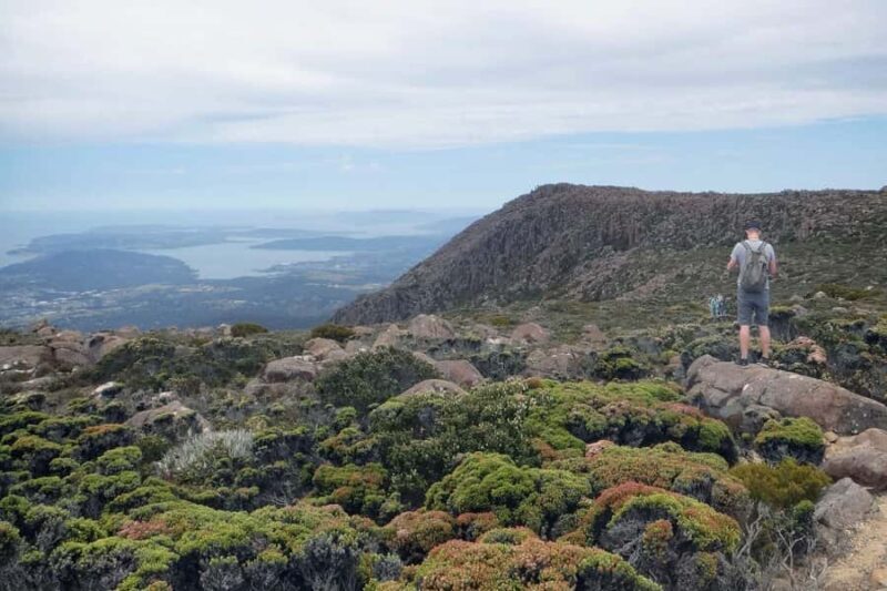 Kunanyi & Mt Wellington Explorer Bus: One-Way Bus Pass - A Closer Look at the Experience