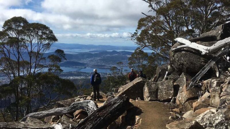Kunanyi & Mt Wellington Explorer Bus: One-Way Bus Pass - Final Thoughts