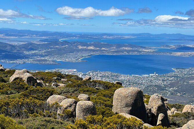 kunanyi/Mt Wellington Explorer Bus- Return Tour (2.5 hours) - Who Should Consider This Tour?