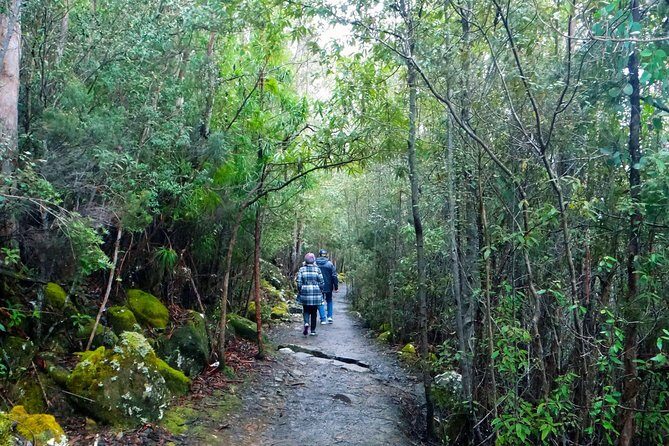 kunanyi/Mt Wellington Explorer Bus- Return Tour (2.5 hours) - FAQ