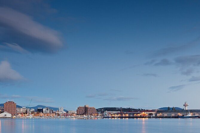 kunanyi/Mt Wellington Tour and MONA Admission - Final Thoughts