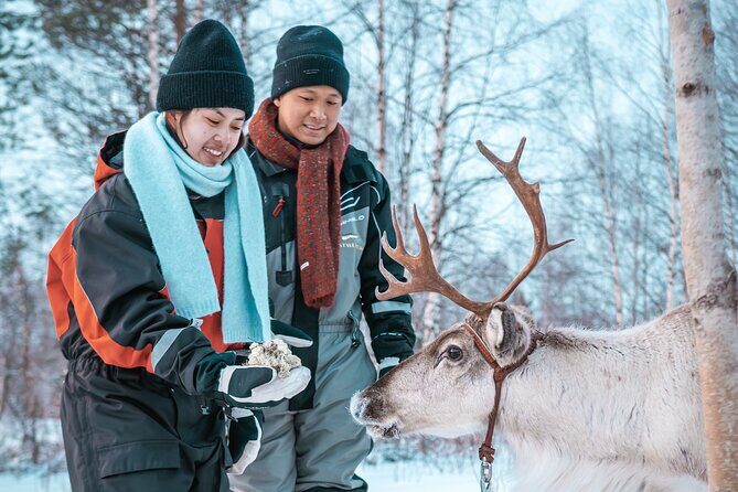 Kuoksa Reindeer Adventure - Who Will Love This Tour?