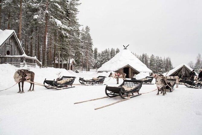 Kuoksa Reindeer Farm Visit with a Short Sleigh Ride - Experience the Authentic Charm of the Kuoksa Reindeer Farm Tour