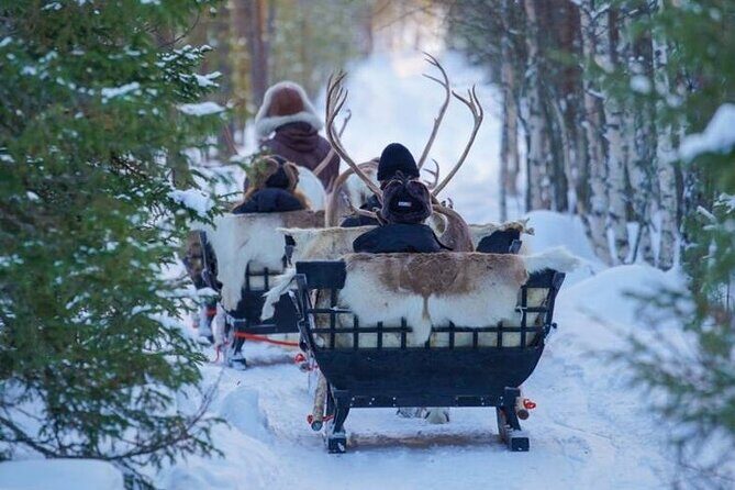 Kuoksa Reindeer Farm Visit with a Short Sleigh Ride - Key Points