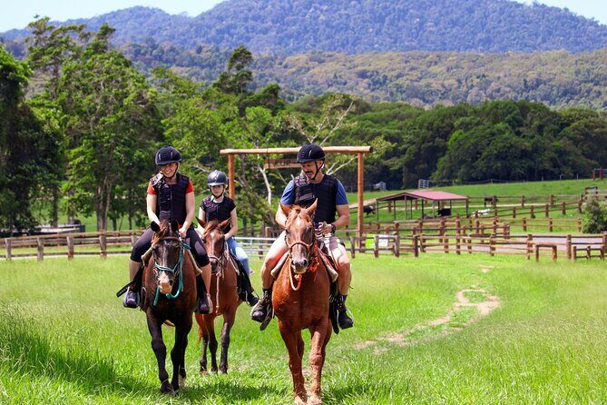 Kuranda 60 minute Horse Trail Ride and Petting Farm - Key Points